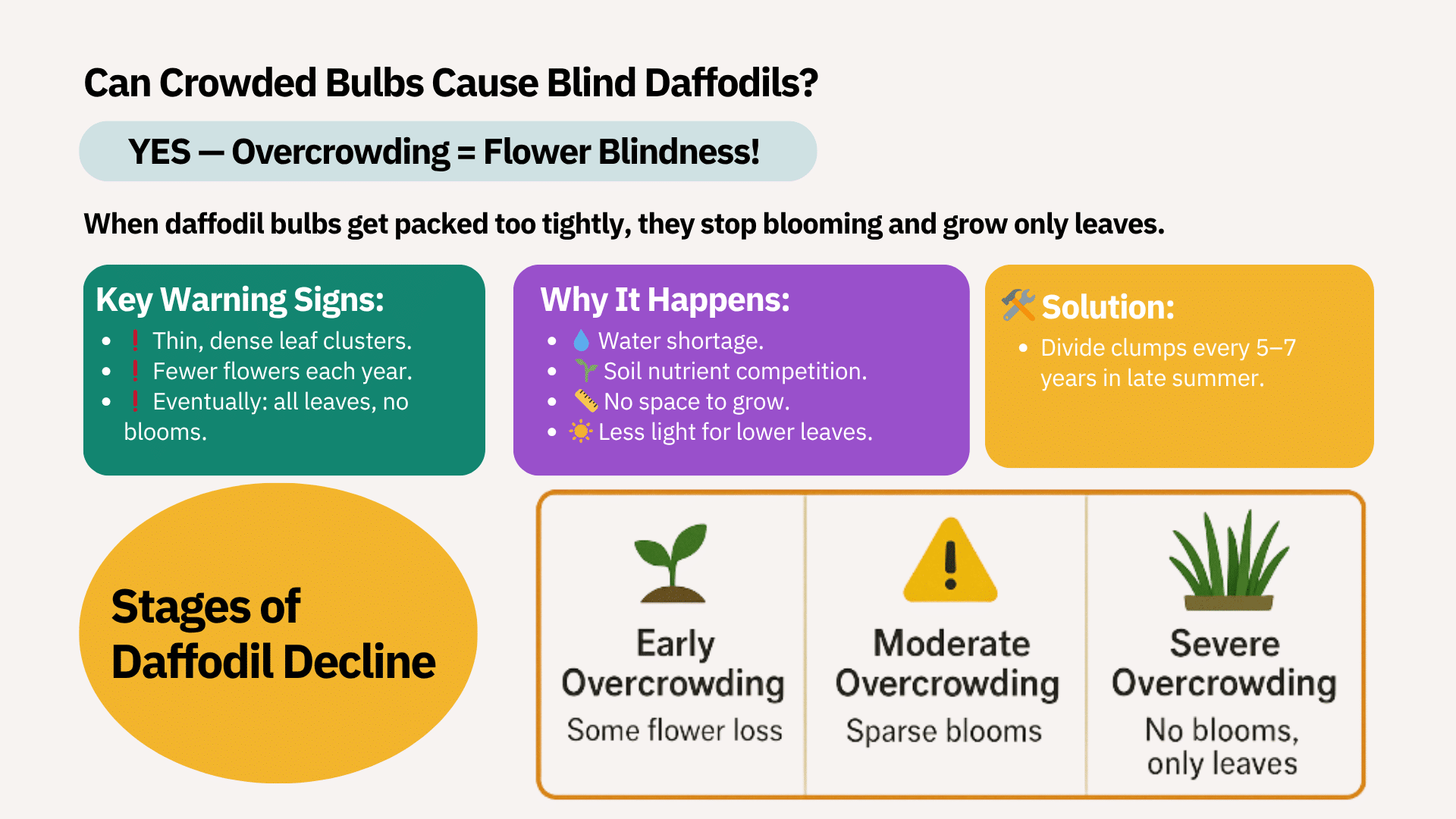 Why Are My Daffodils Blind? Causes And Fixes - Stewart Milne Homes