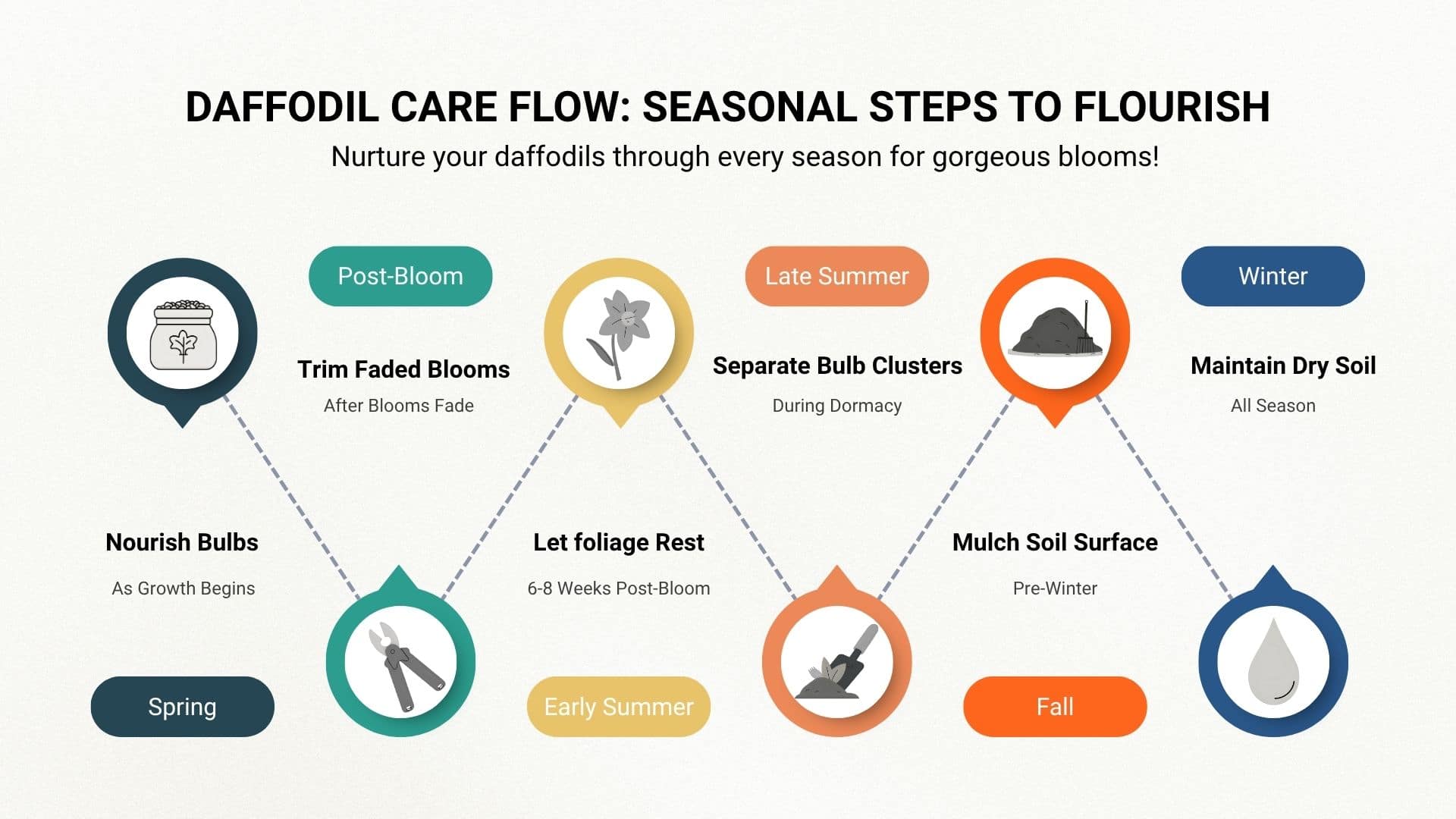 Why Are My Daffodils Blind? Causes And Fixes - Stewart Milne Homes